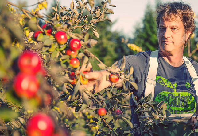 Wes Cherry – Mies Pasianssin Takana